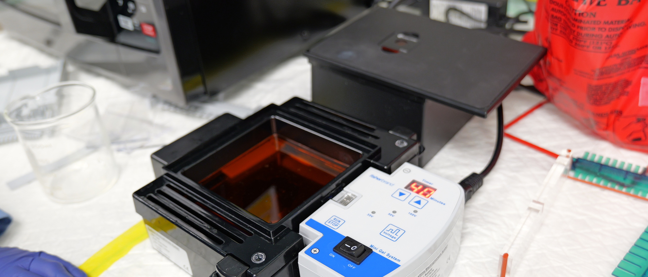 Research | Engineered BioSynthesis Lab - College of Engineering | The ...